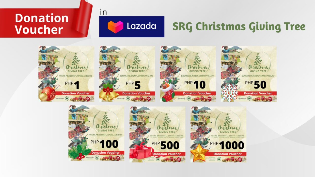 Christmas Giving Tree Campaign - Spring Rain Global